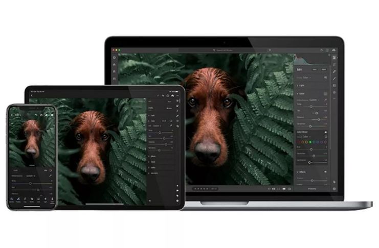 Adobe lança versão Arm para Lightroom, disponível no Windows e macOS ...